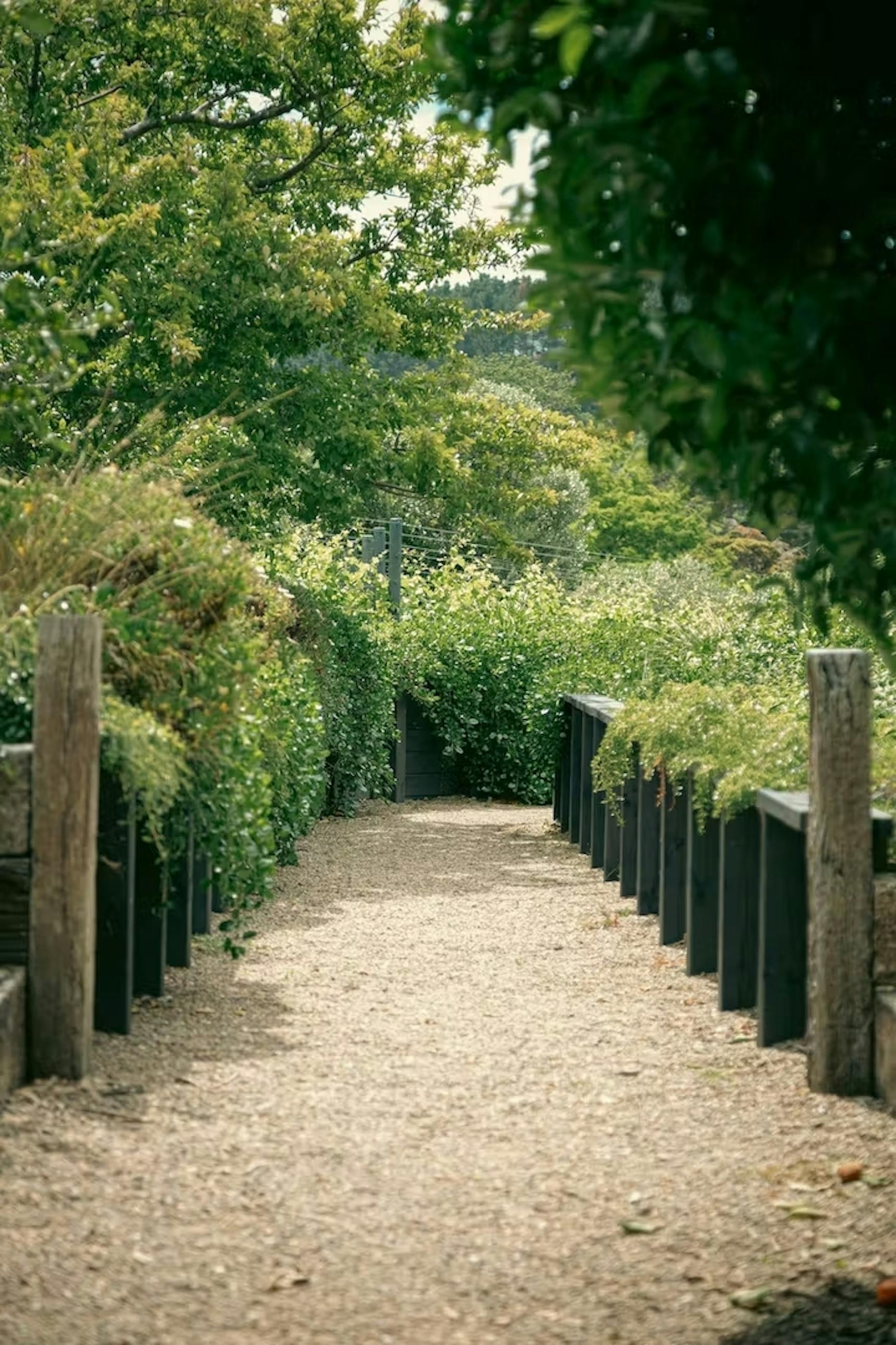 Postage Stamp | Home