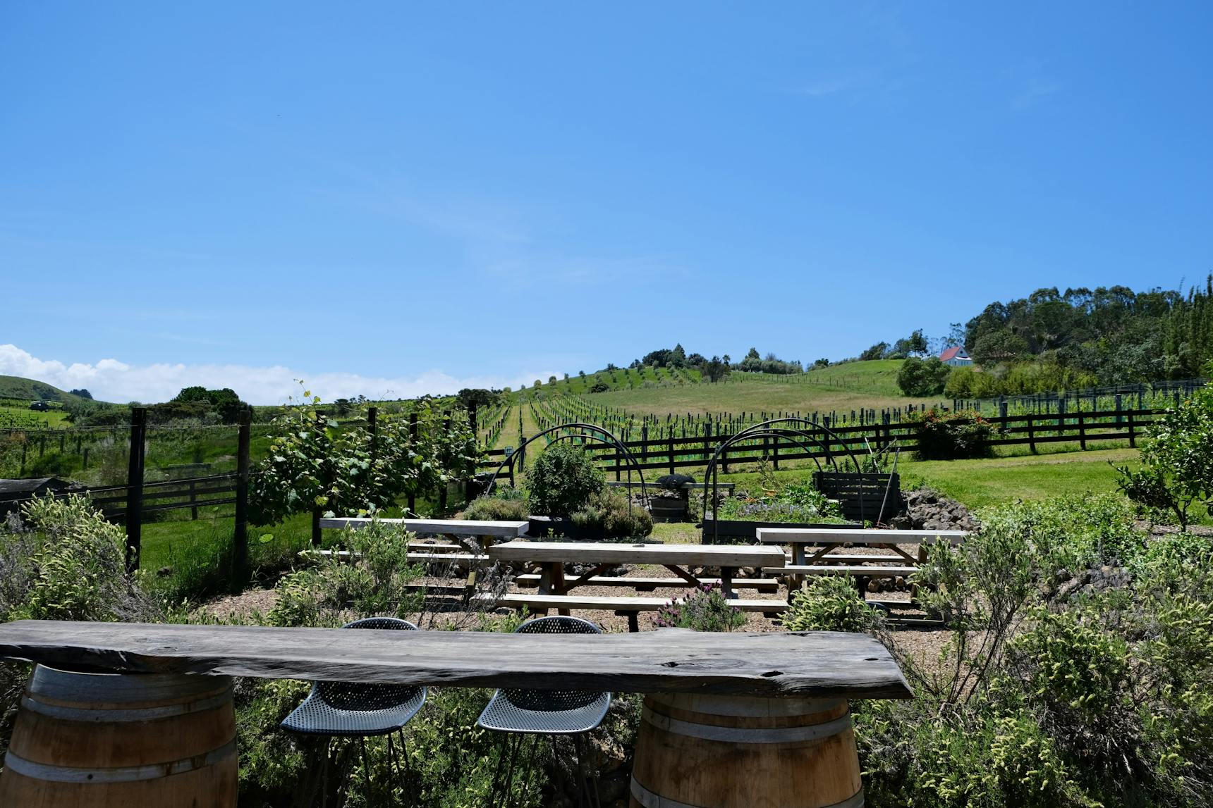 Postage Stamp Wines | Home